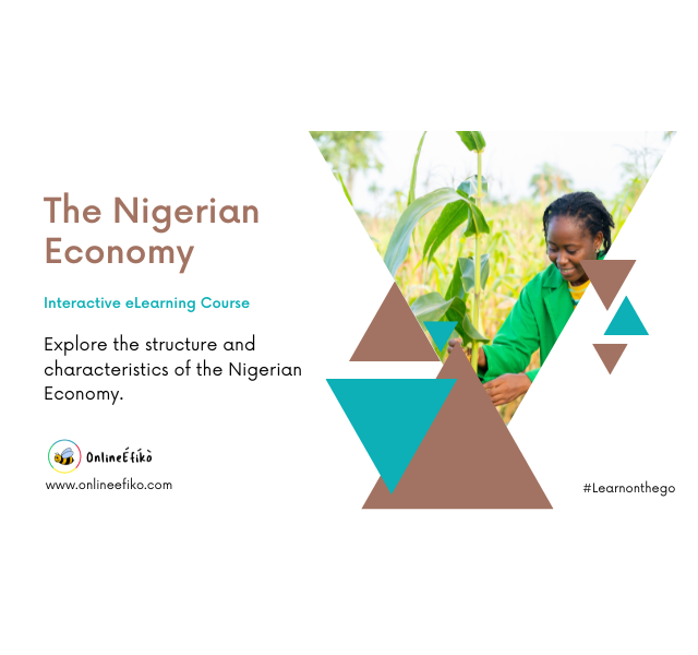 The Nigerian Economy